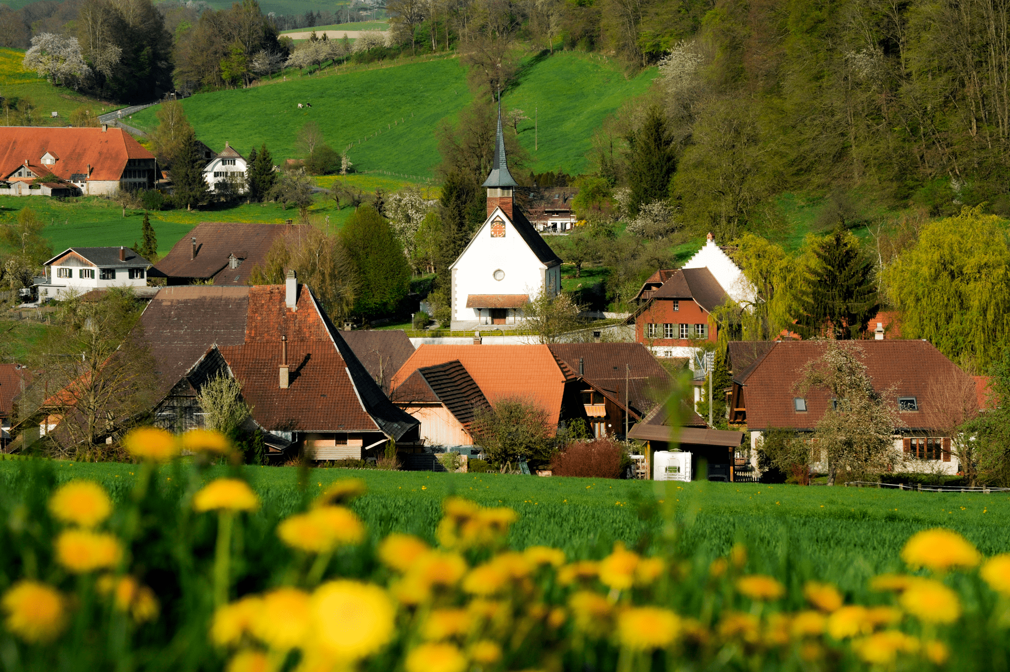 Geschichte | Gemeinde Melchnau